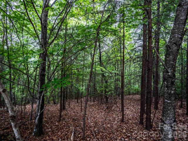 38 Deep Gap Farm Road E # 38