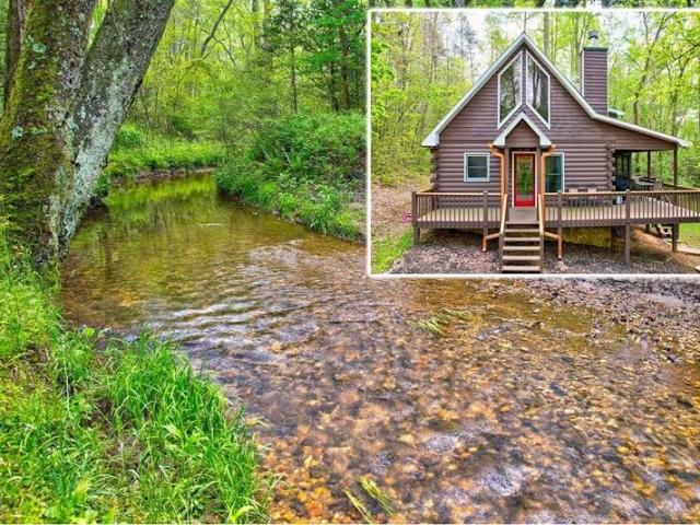 38 Forest Lane, Blue Ridge, GA 30513