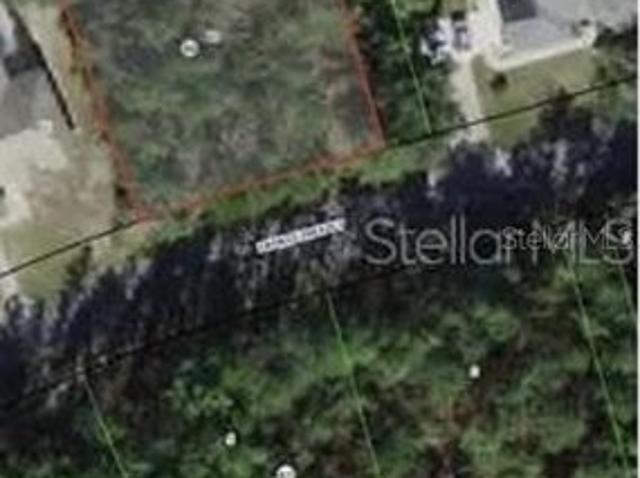 38 Fringetree St, Homosassa, FL 34446