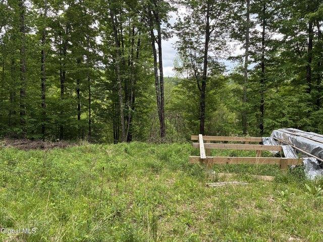 38 Hill Hollow Rd, Petersburgh, NY 12138
