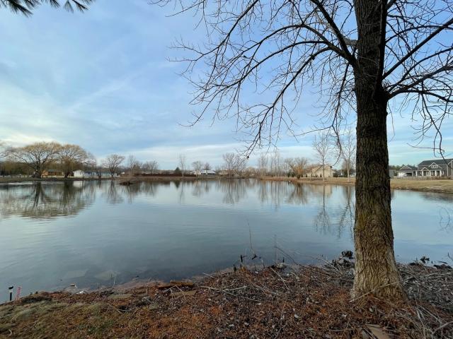 38 Nightingale Cir, Camargo, IL 61919 | MLS #11698 | Compass