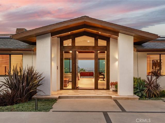 38 Saddleback