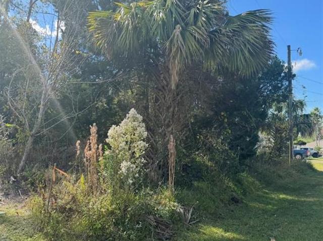38 Sleepy Hollow Trail, Palm Coast, FL 32164 | MLS #S5139