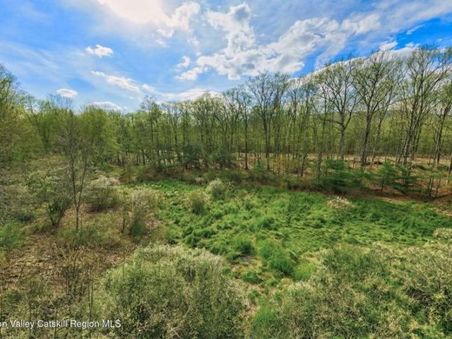 38 Spurck Rd, Saugerties, NY 12477