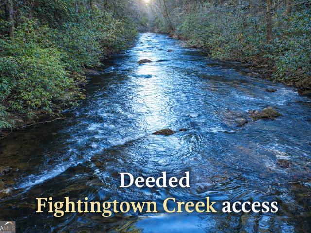 38 Sweetwater Trail, Epworth, GA 30541 | MLS #429999