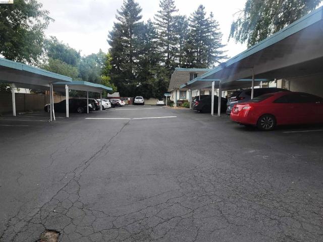 3905 Clayton Rd 12