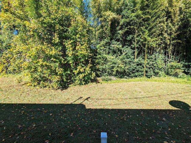 3906 Lexington 2 Bedroom Apartment for Rent at 3906 Lexington Dr, Raleigh, NC 27606 Southwest Raleigh