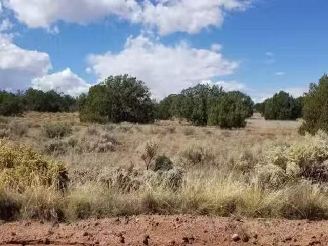 3908 71A Hidden Ranch Rd #71A, Snowflake, AZ 85937 MLS 6837550