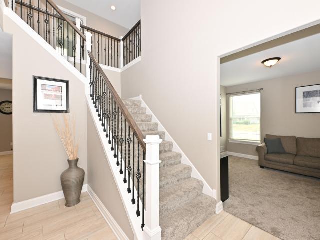 3909 Wild Ginger Way