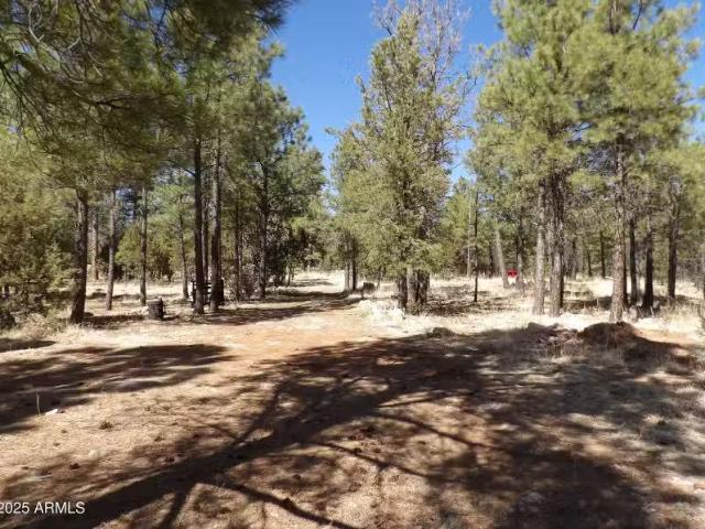 3900 Morning View Dr #47, Happy Jack, AZ 86024 MLS 6833425
