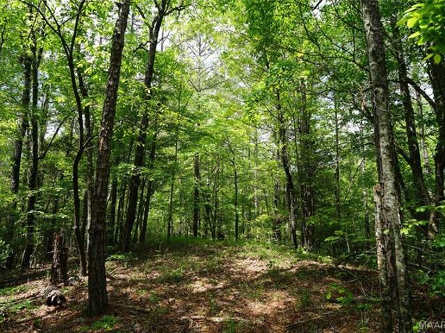 3900 County Road 14, AL 36005