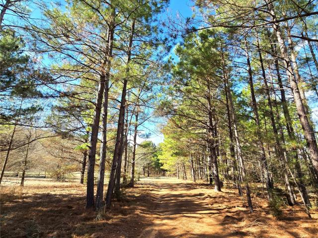 3901 County Road 1585