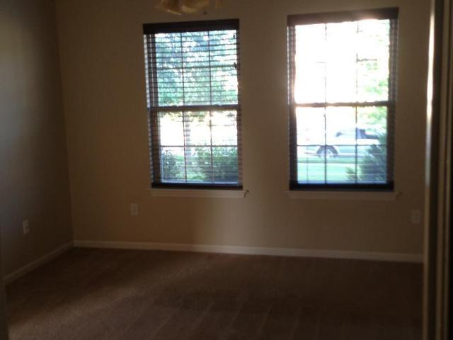 3901 jungle tree dr