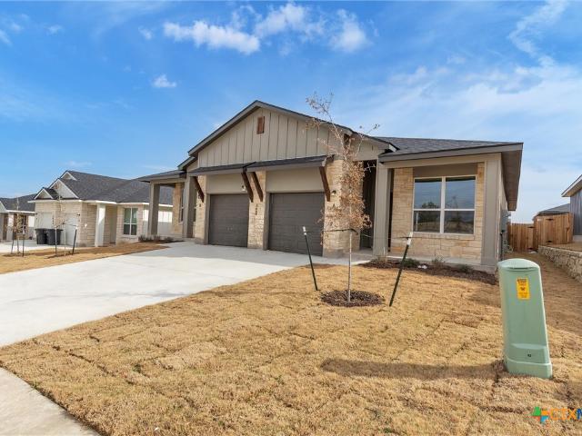 3902 American Elm
