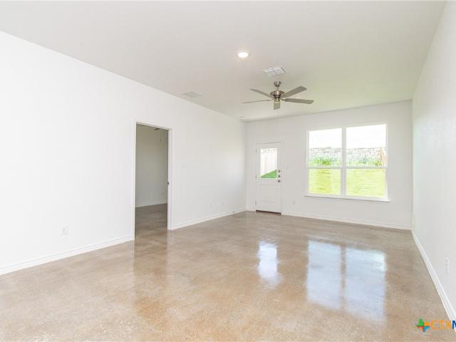 3903 American Elm A
