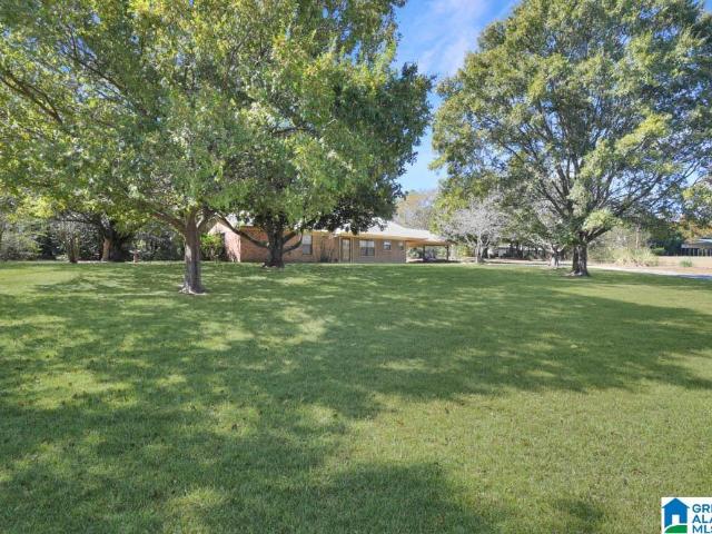 390 County Road 423