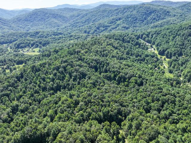390 Fiddlers Branch Road