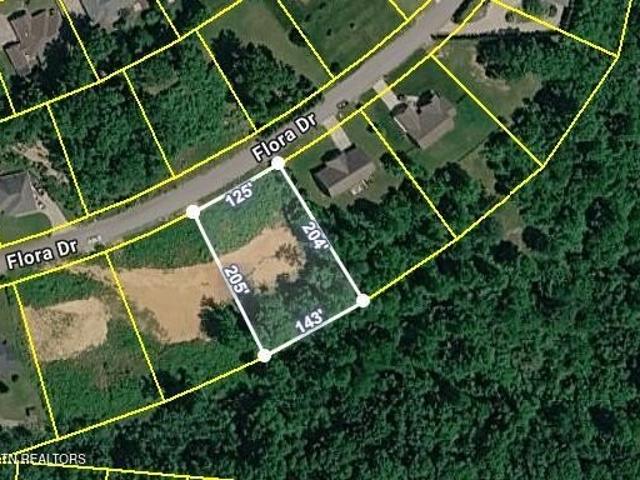 390 Flora Dr, Lenoir City, TN 37771