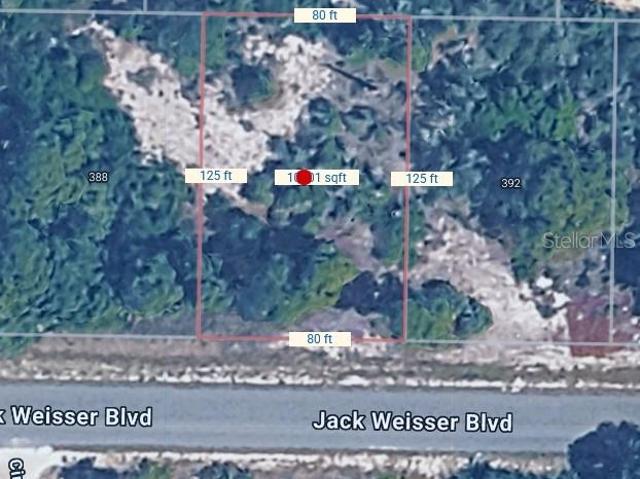 390 Jack Weisser Blvd, Lake Placid, FL 33852 | MLS #C7522