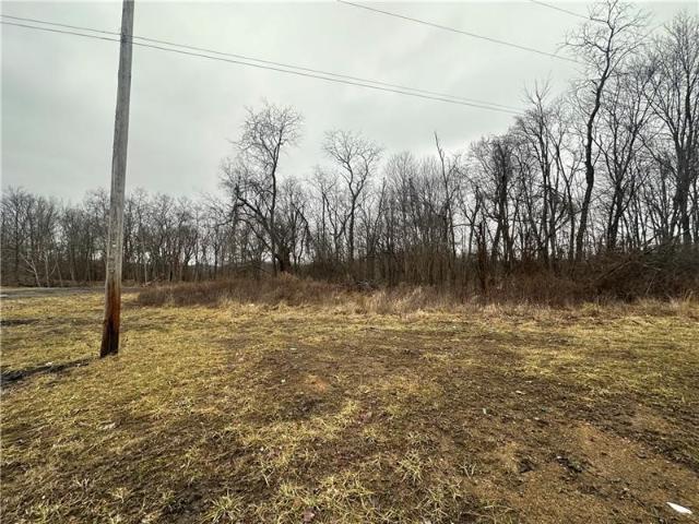390 Snuff Ridge Road