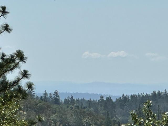 390 Summit View, Meadow Vista, CA 95722 | MLS #225046