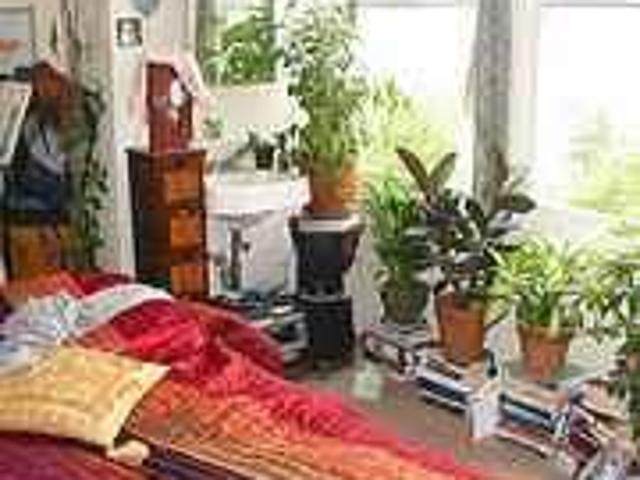$390 Weekly room sink/tv/view/fresh air cole valley map