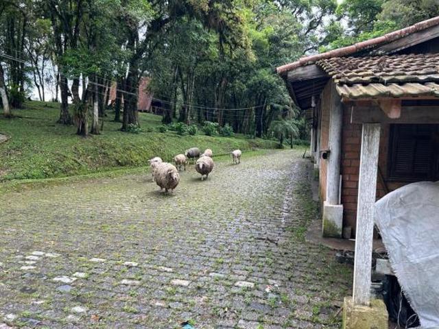 39145 m2, só R$110,00/m2