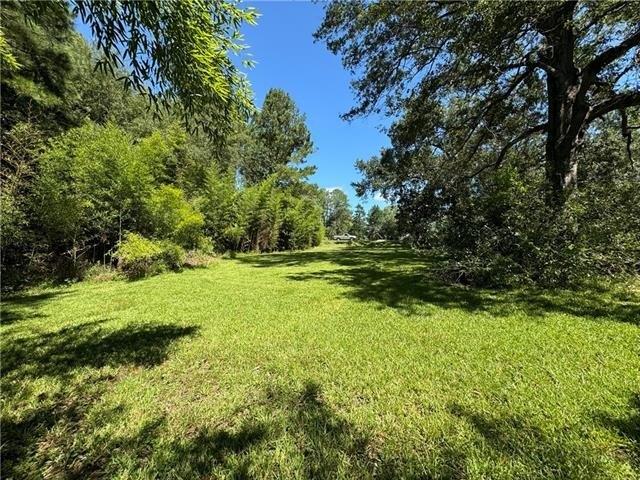 3916 Trinity Church Rd Lot 1, Pineville, LA 71360