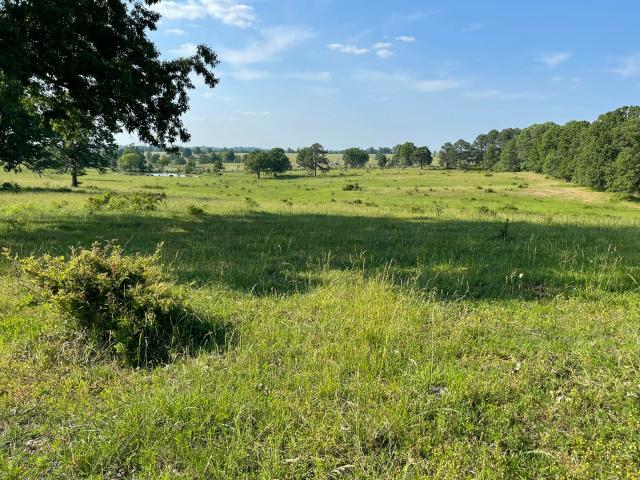 000 County Road 4300