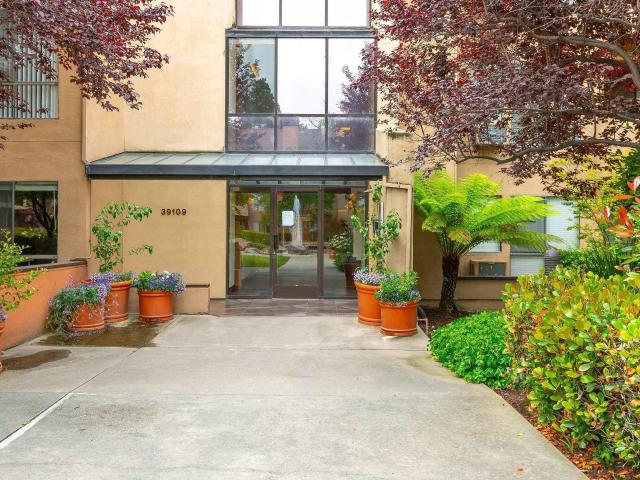 39109 Guardino Dr 234