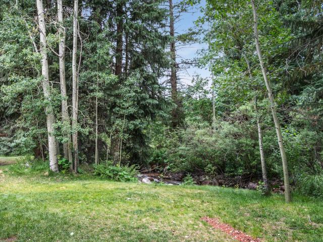 3911 Big Horn Rd, Unit 1B, Vail, CO 81657 | MLS #1013