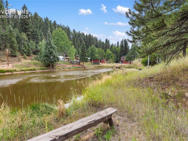 3912 Trout Creek Road
