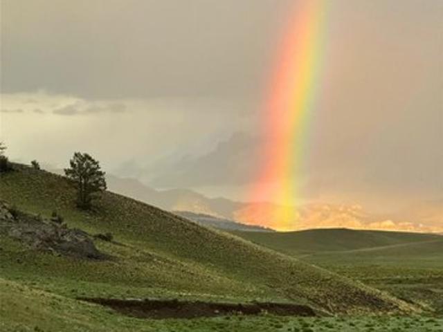 391 Gulch Rd, Hartsel, CO 80449