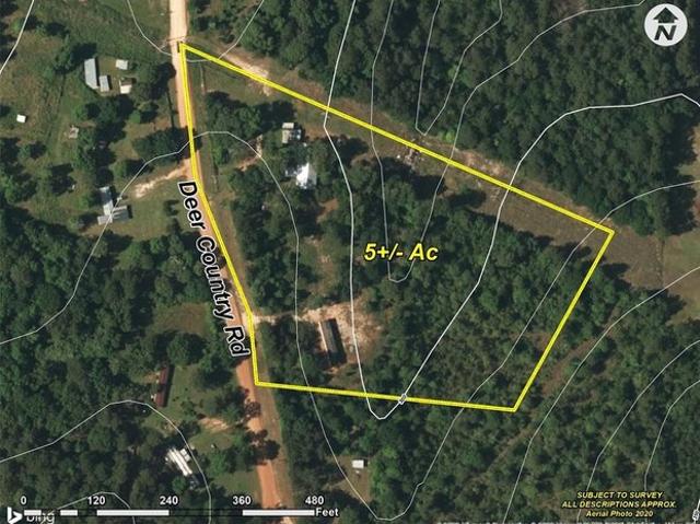 391 Deer Country Rd, Chester, TX 75936