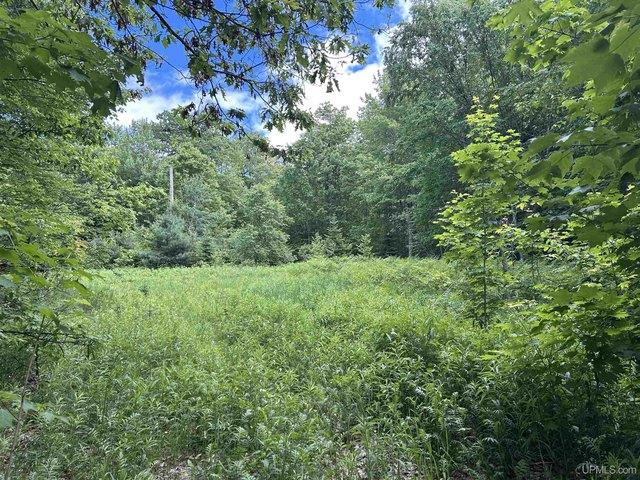 391 N Carlshend Rd, Skandia, MI 49885