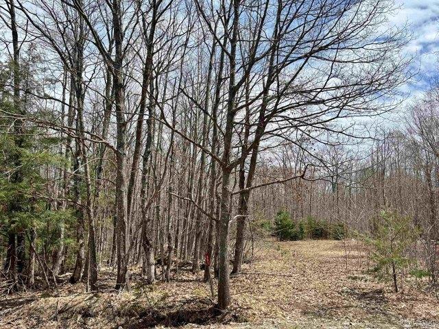 391 N Carlshend Rd, Skandia, MI 49885