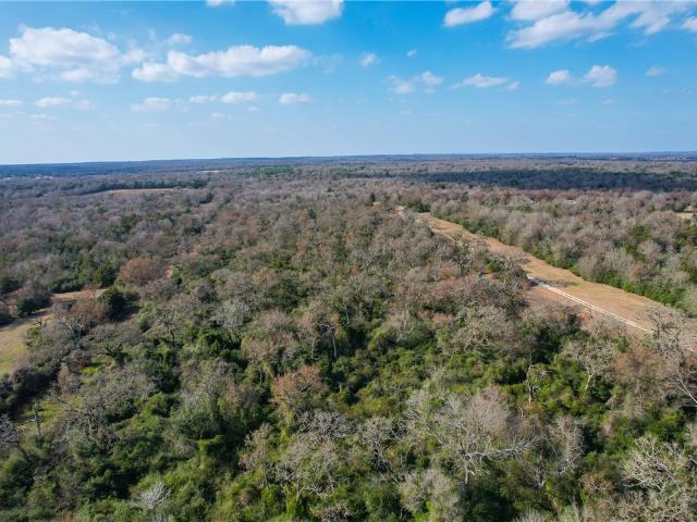 391 St Hearne, TX 77859 | MLS #25001