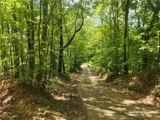 3924 Pearson Mountain Road