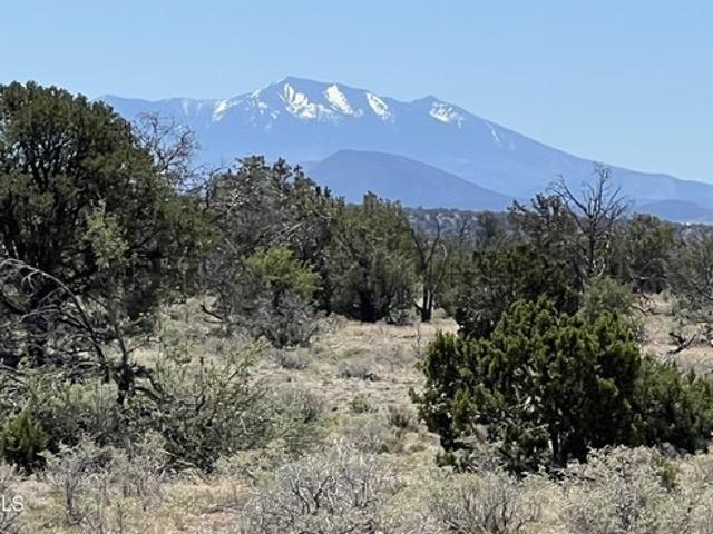3927 Mohave 12 Acres Trl Lot B, Williams, AZ 86046