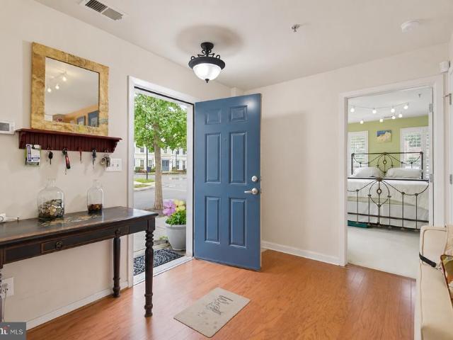 3927 Old Dominion Boulevard