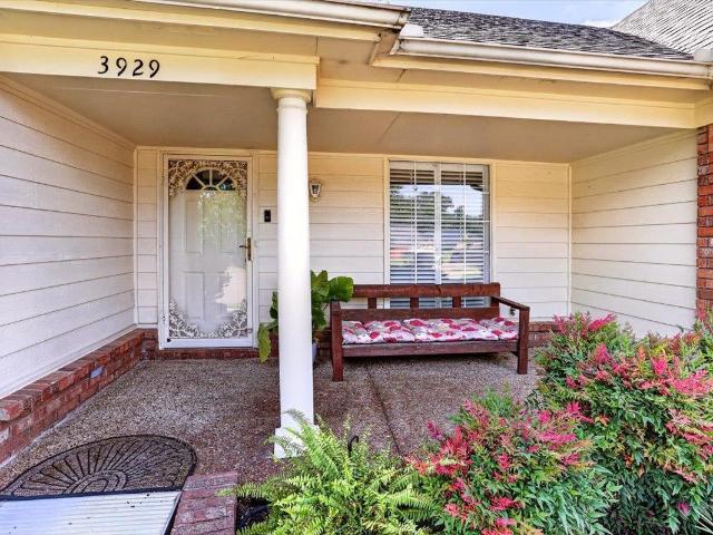 3929 carrie brook cv