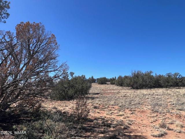 3920 Freeman Hollow Road