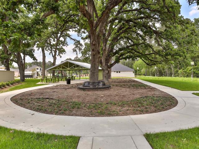 39235 Water Rail Ct, Magnolia, TX 77354 | MLS #40231