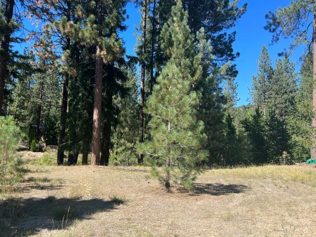 392 Sequoia Cir, Blairsden, CA 96103 | MLS #20230