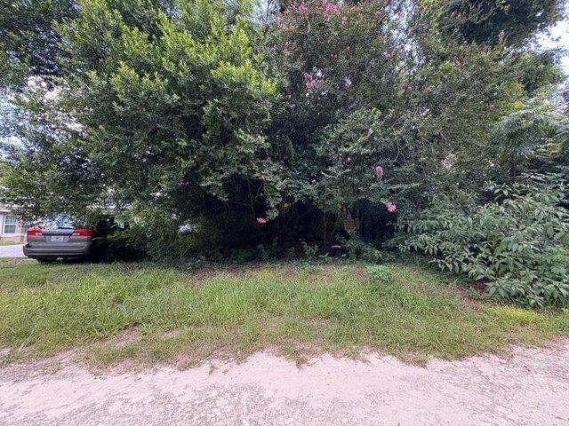 3935 SE 140th Ln, Summerfield, FL 34491