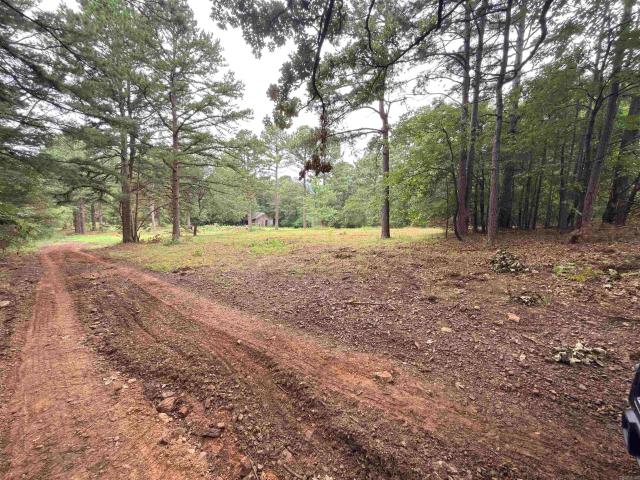 3938 County Road 3631