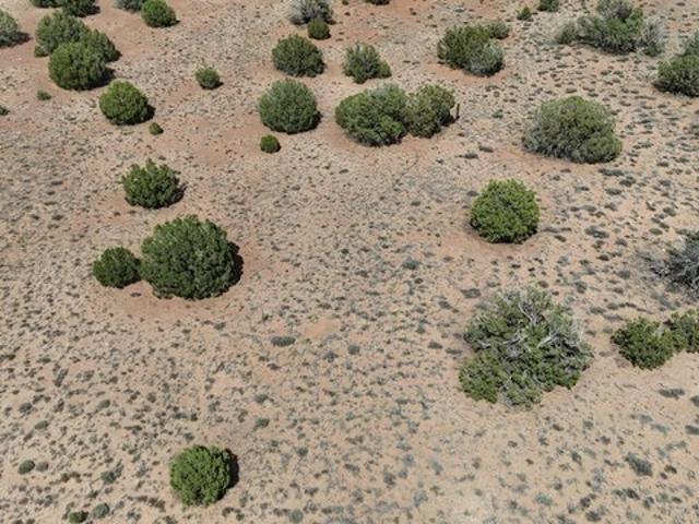 3939 Apache Rd, Snowflake, AZ 85937