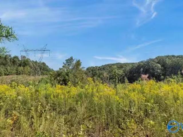 3939 COUNTY ROAD 284, COURTLAND, AL 35618 Vacant Land For Sale.