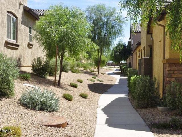 3939 e cat balue drive