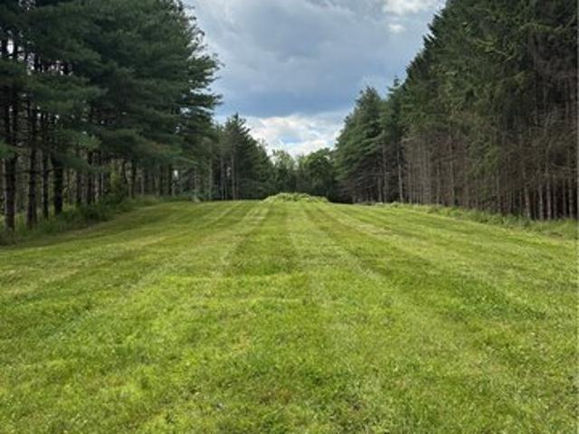 3939 Stalker Rd, Macedon, NY 14502